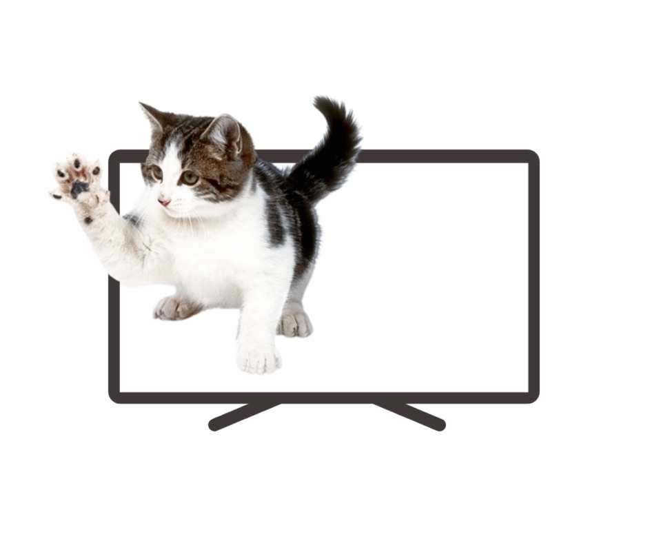 Canva Hack: 3D Effect Pop Out Design in CANVA - Designerly